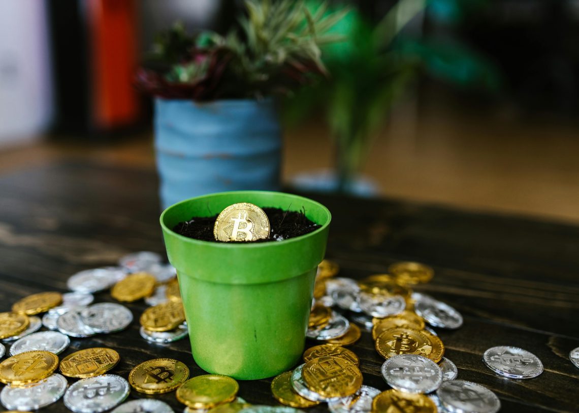 Bitcoin Adoption: Countries Where Bitcoin Is Legal Tender and What It ...